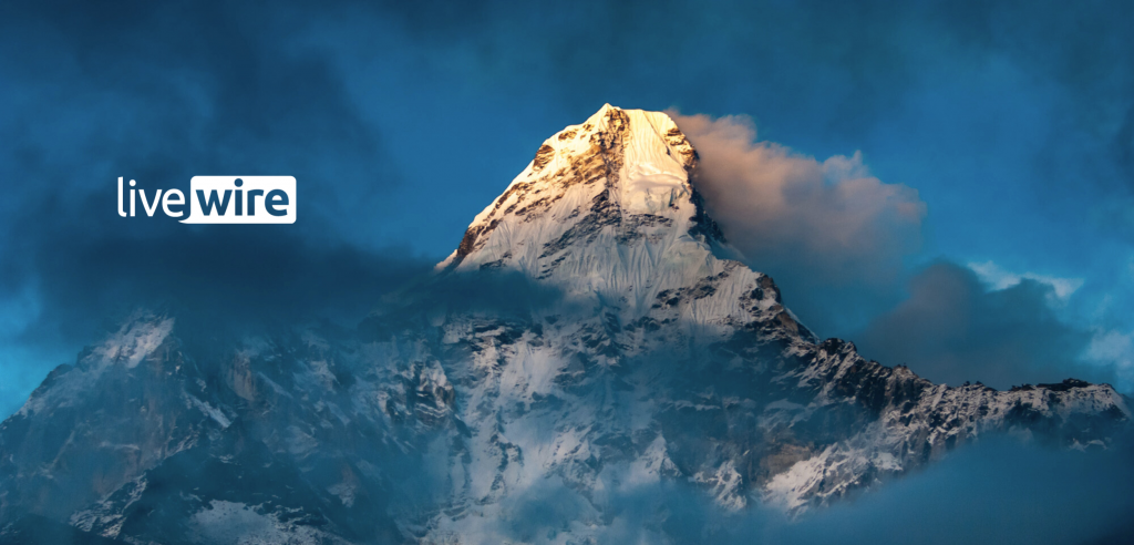 How to identify the world's highest quality small and mid-cap stocks ...